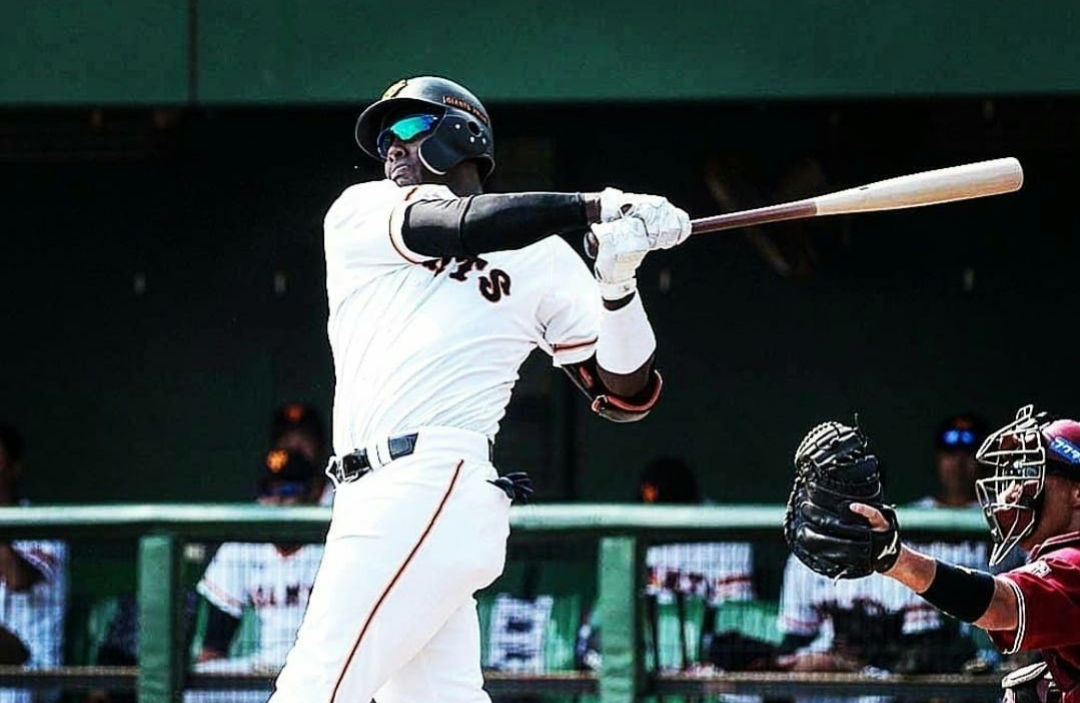 Poder al orden al bat emplumado